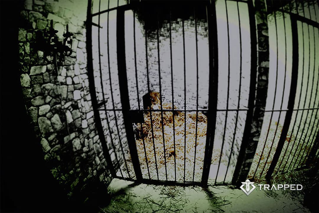 TRAPPED | Themes at Mississauga